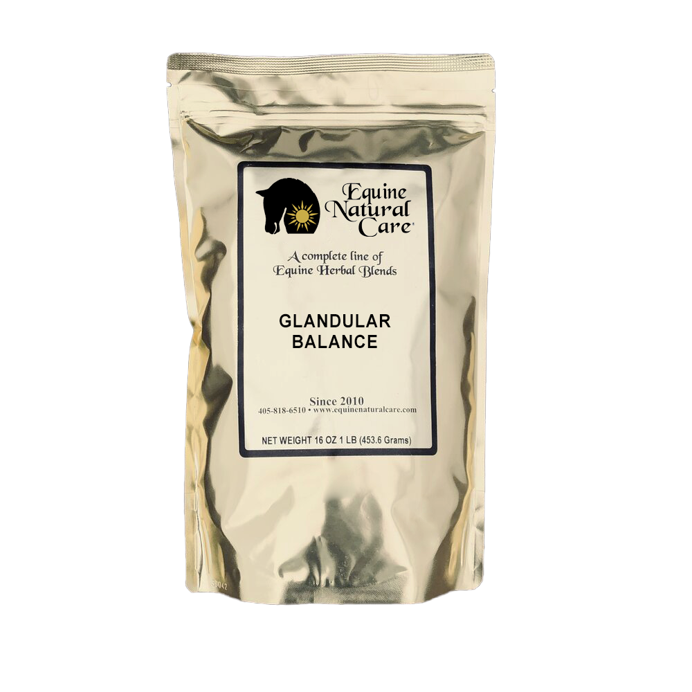 Glandular Balance – One-Eyed Mack Holistic Healing